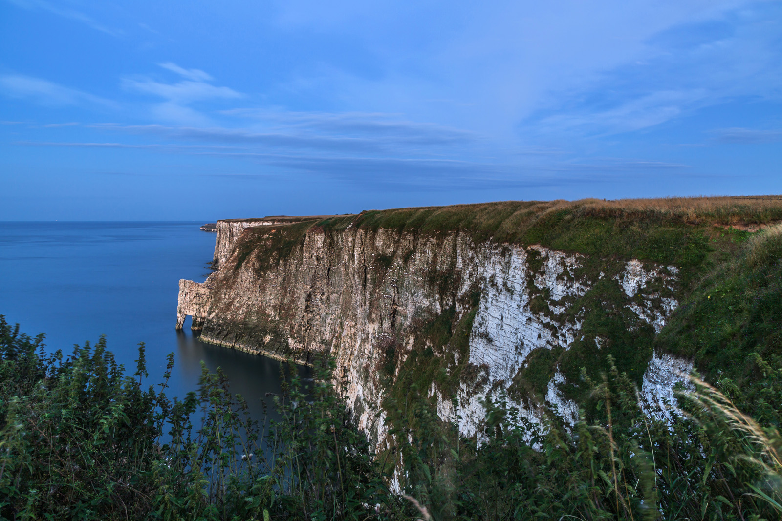 Visit to RSPB Bempton Cliffs – Abhishek Deepak