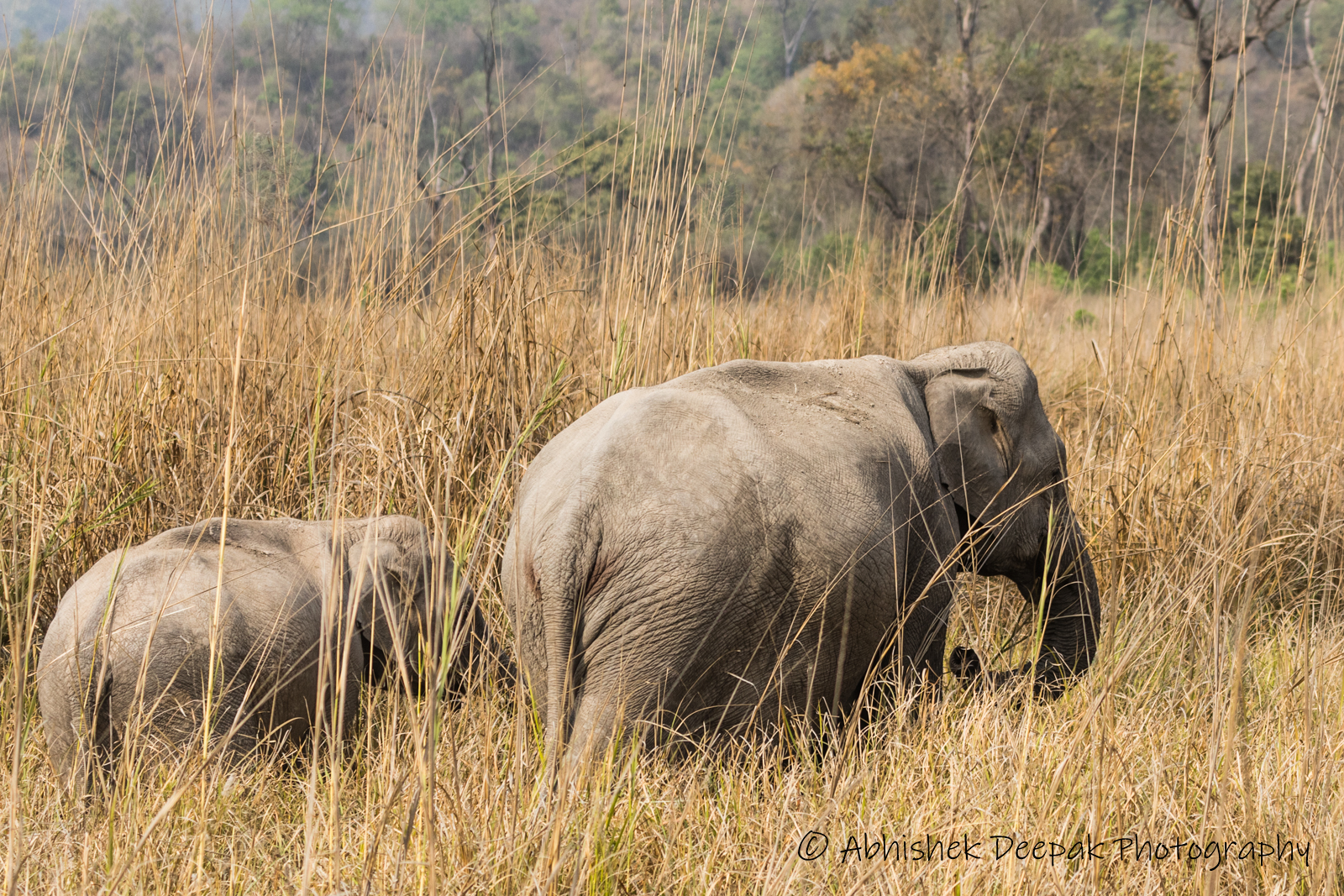 Day trip to Chilla zone – Abhishek Deepak