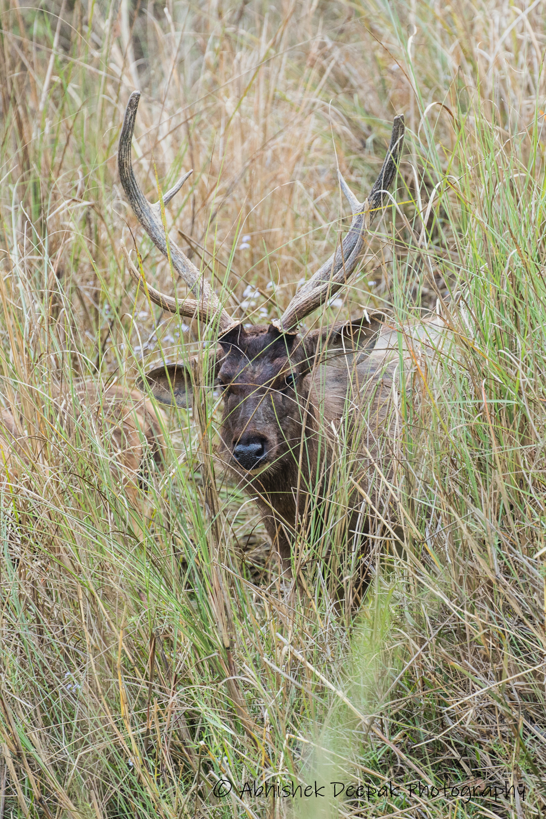 Day trip to Chilla zone – Abhishek Deepak